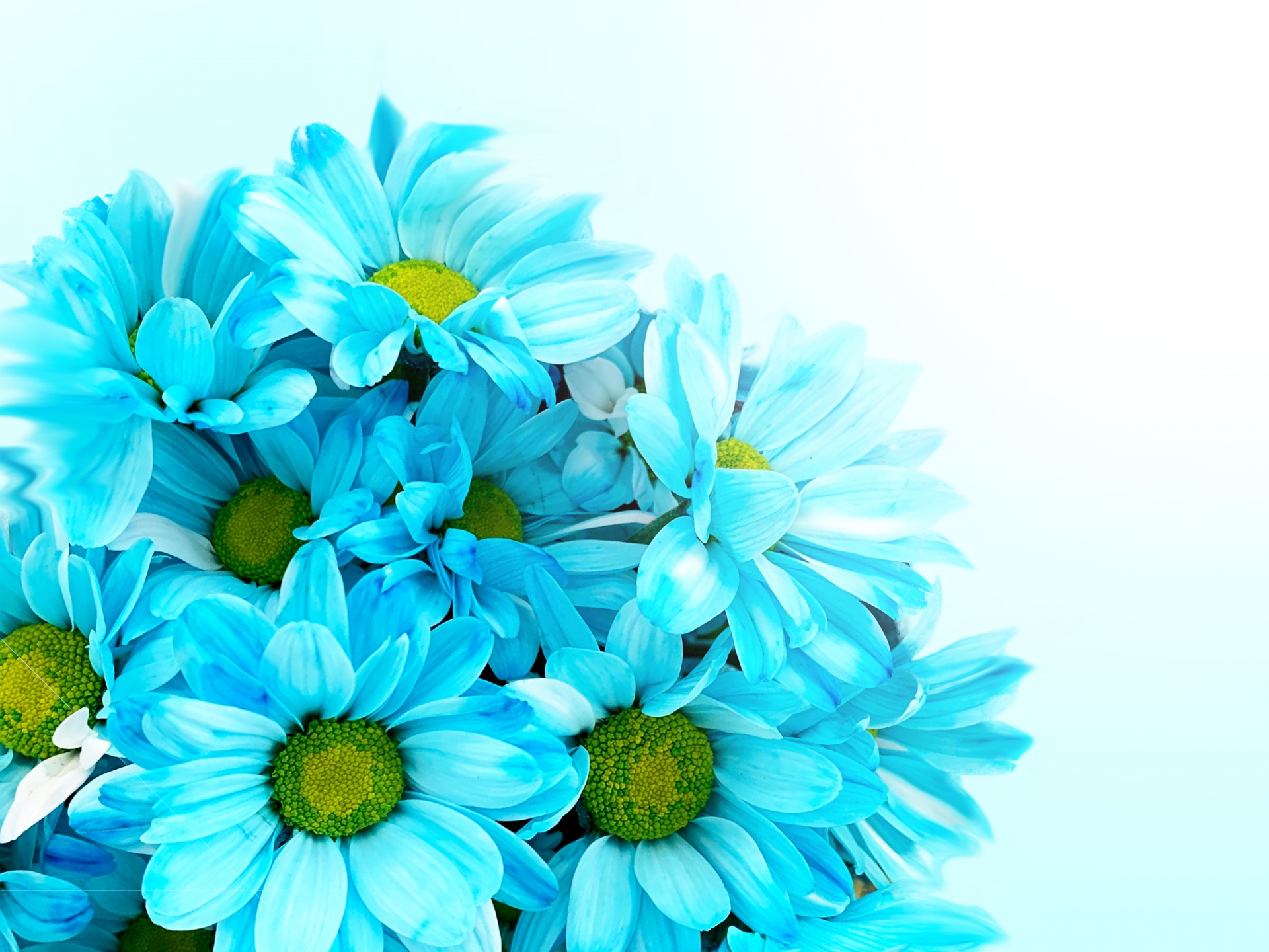 【FMうじ】ラジオCMを制作してみた！ 料金やナレーターなど裏話を紹介 - Sally WebDesign | 京都府宇治市のホームページ・デザイン・動画制作