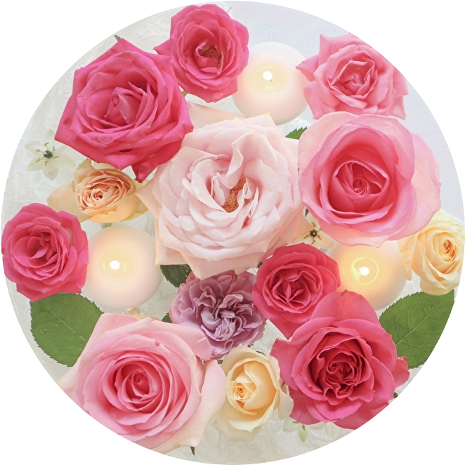 スタートセットプラン - Sally WebDesign | 京都府宇治市のホームページ・デザイン・動画制作